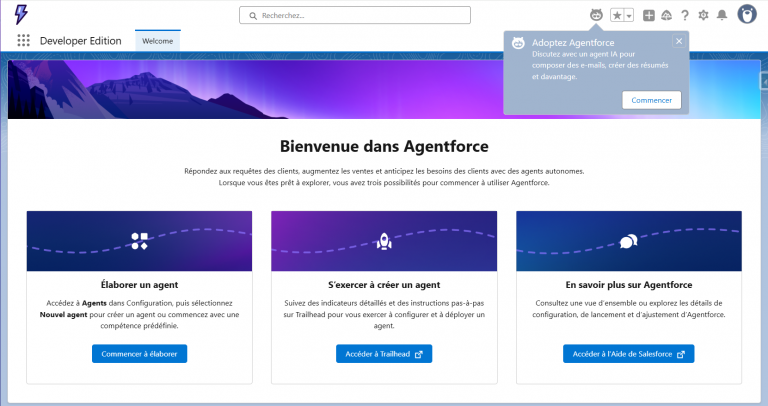 TDX'25 - Free Salesforce Developer Edition with Agentforce - Force Walk ...
